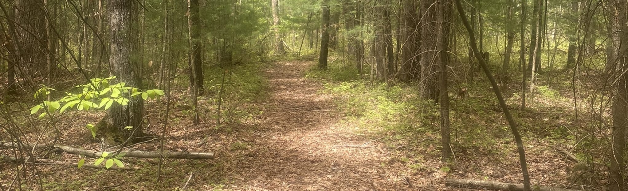 AllTrails | Hunter Run Trail System: 18 Reviews, Map - Pennsylvania