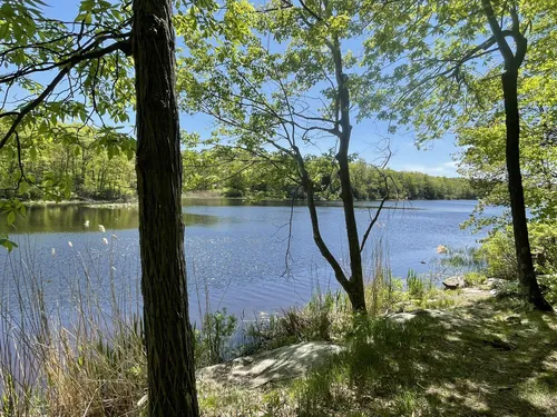 2023 Best Wild Flowers Trails in Hardyston | AllTrails