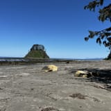Cape Alava Trail, Washington - 450 Reviews, Map | AllTrails