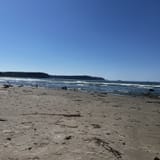 Sand Point Trail, Washington - 320 Reviews, Map | AllTrails