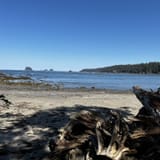 Sand Point Trail, Washington - 320 Reviews, Map | AllTrails