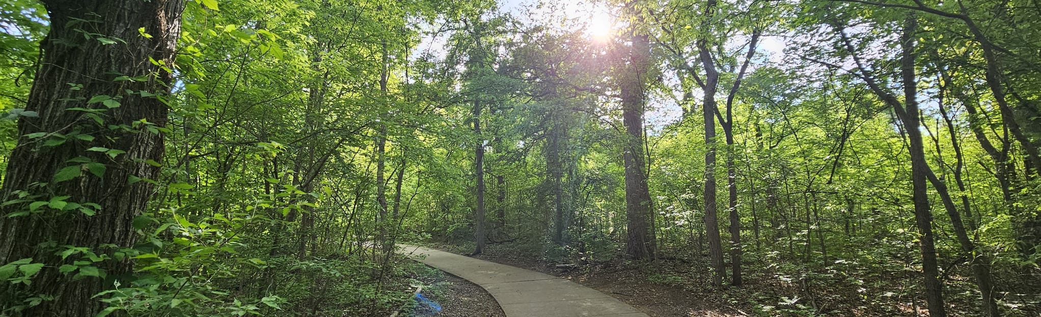 Rowlett Creek Trail, Texas - 242 Reviews, Map | AllTrails
