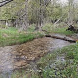 Walter's Falls Loop [PRIVATE PROPERTY], Ontario, Canada - 83 Reviews ...