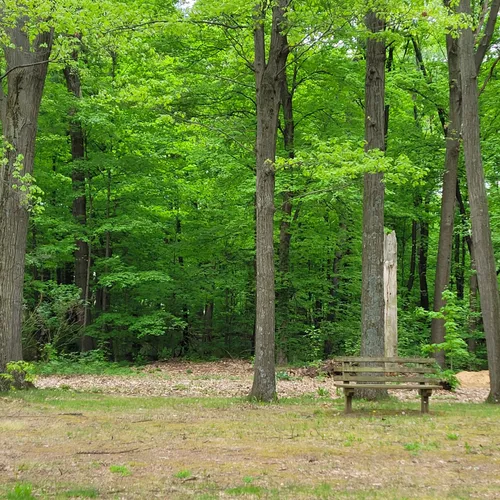 Best Hikes and Trails in Grose Park | AllTrails