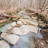 Bartram Trail: West Dam Recreation Area to Washington Road, South ...