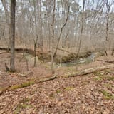 Bartram Trail: West Dam Recreation Area to Washington Road, South ...