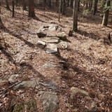 Bartram Trail: West Dam Recreation Area to Washington Road, South ...