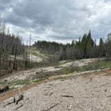 Fleming Meadow Trail 8, California - 237 Reviews, Map | AllTrails