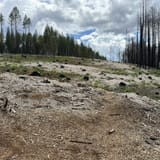 Fleming Meadow Trail 8, California - 200 Reviews, Map | AllTrails
