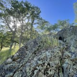 Frog Lake Loop Trail, California - 592 Reviews, Map | AllTrails