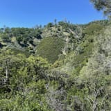 Frog Lake Loop Trail, California - 592 Reviews, Map | AllTrails