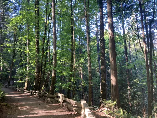 Best Hikes and Trails in Latoria Creek Park | AllTrails