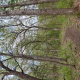 Arcola Bluffs Trail, Minnesota - 192 Reviews, Map | AllTrails