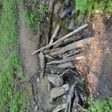 Arcola Bluffs Trail, Minnesota - 192 Reviews, Map | AllTrails