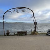 Albany Bulb, California - 393 Reviews, Map | AllTrails