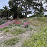 Albany Bulb, California - 393 Reviews, Map | AllTrails
