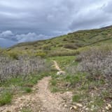 Dry Canyon Trail, Utah - 525 Reviews, Map | AllTrails