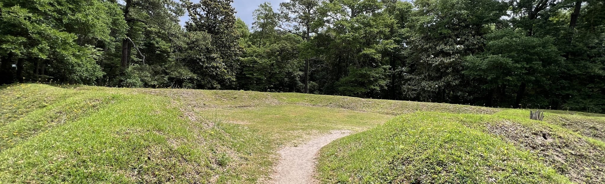 Thomas Hariot Nature Trail: 110 Reviews, Map - North Carolina | AllTrails