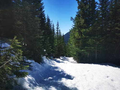 2023 Best Camping Trails in Mount Currie | AllTrails