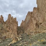 Timber Gulch, Oregon - 61 Reviews, Map | AllTrails