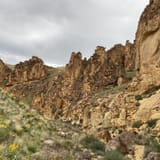 Timber Gulch, Oregon - 61 Reviews, Map | AllTrails