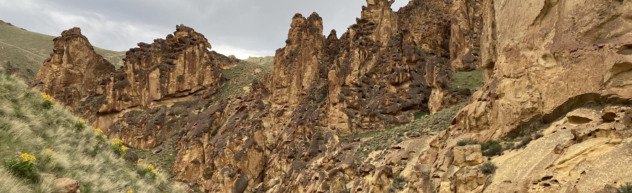 Timber Gulch, Oregon - 39 Reviews, Map | AllTrails