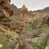 Timber Gulch, Oregon - 61 Reviews, Map | AllTrails