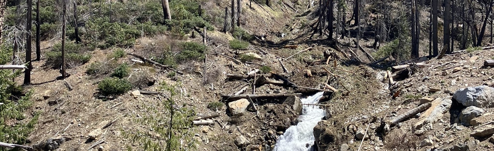 Kelsey Creek Trail to Maple Falls, California - 17 Reviews, Map | AllTrails