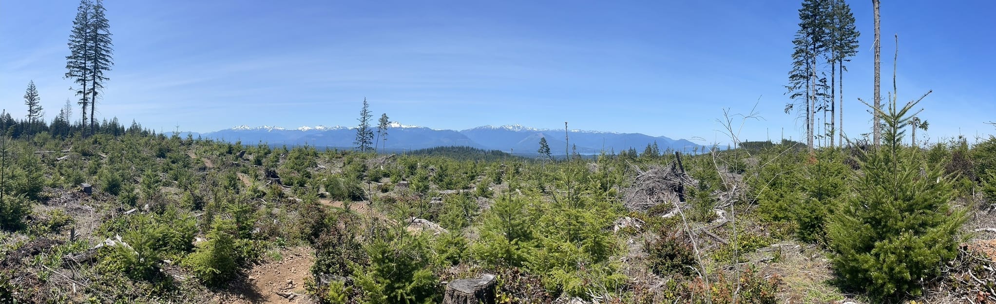 Plummer and Beaver Pond Trail, Washington - 144 Reviews, Map | AllTrails