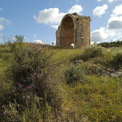 Best 10 Hikes and Trails in Beit Guvrin National Park | AllTrails