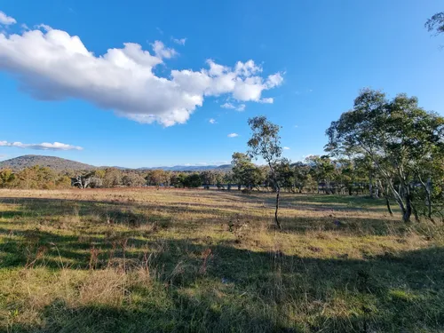 Best Hikes and Trails in Oakey Hill Nature Reserve | AllTrails