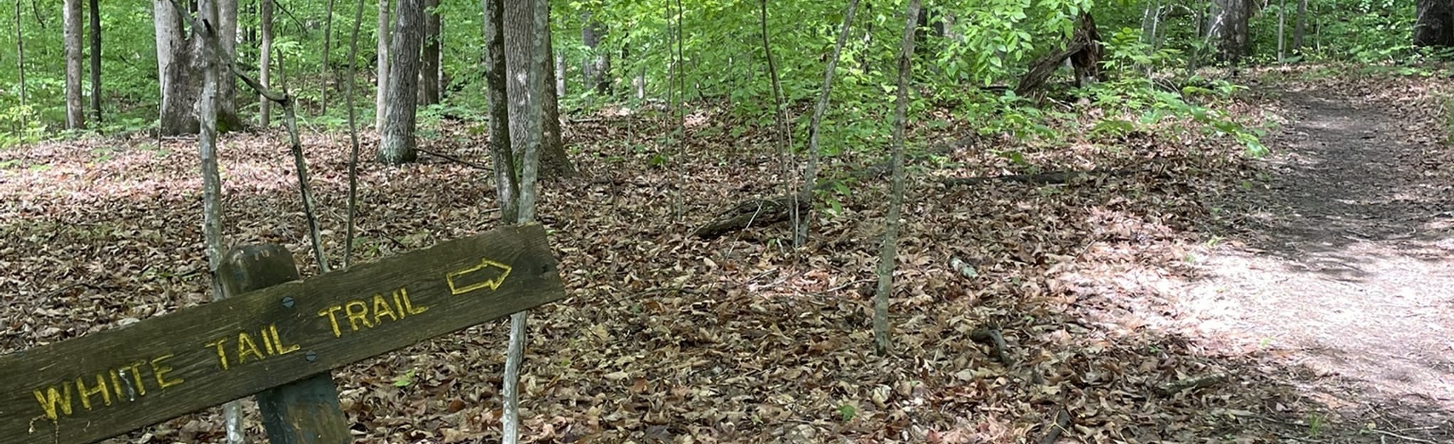 Whitetail Trail: 59 Reviews, Map - Indiana | AllTrails
