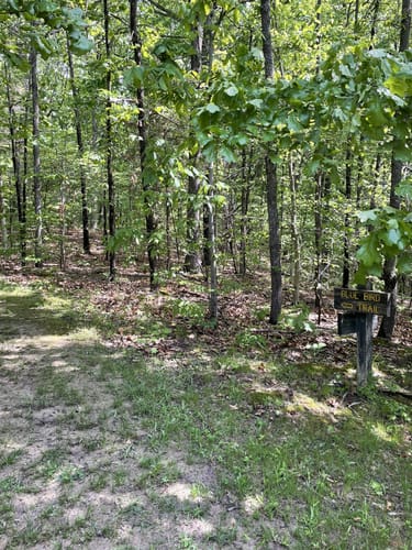 Best Hikes and Trails in Paynetown State Recreation Area | AllTrails
