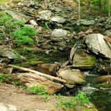 Cascade Falls Loop Trail, Massachusetts - 746 Reviews, Map | AllTrails