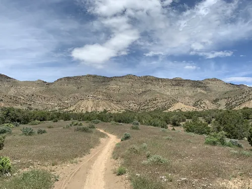 10 Best Hikes and Trails in Black Ridge Canyons Wilderness | AllTrails