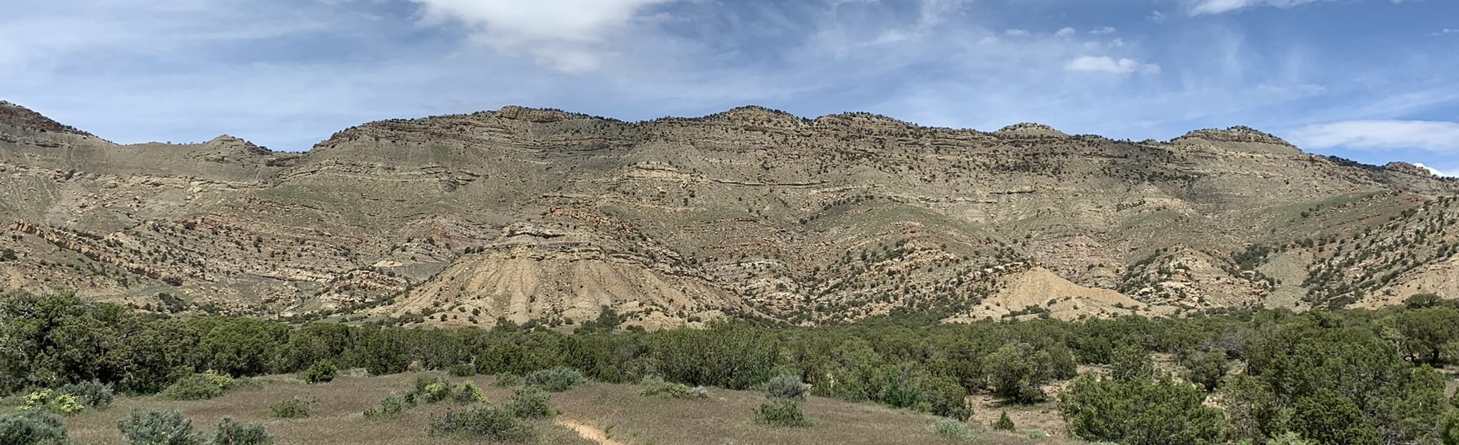 AllTrails | Prime Cut Joe's Cutoff Trail: 59 Reviews, Map - Colorado