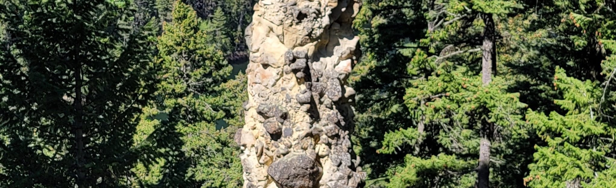 The Pillar, British Columbia, Canada - 30 Reviews, Map | AllTrails
