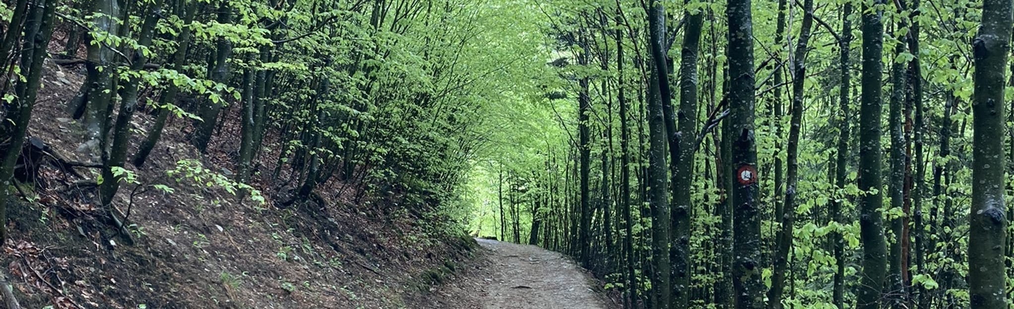 Gračani - Grofica - Puntijarka - Markuševec, 89 Photos - Zagreb ...