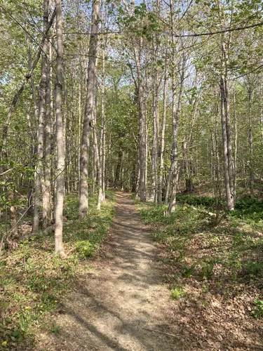 Best Hikes and Trails in Payson Park | AllTrails