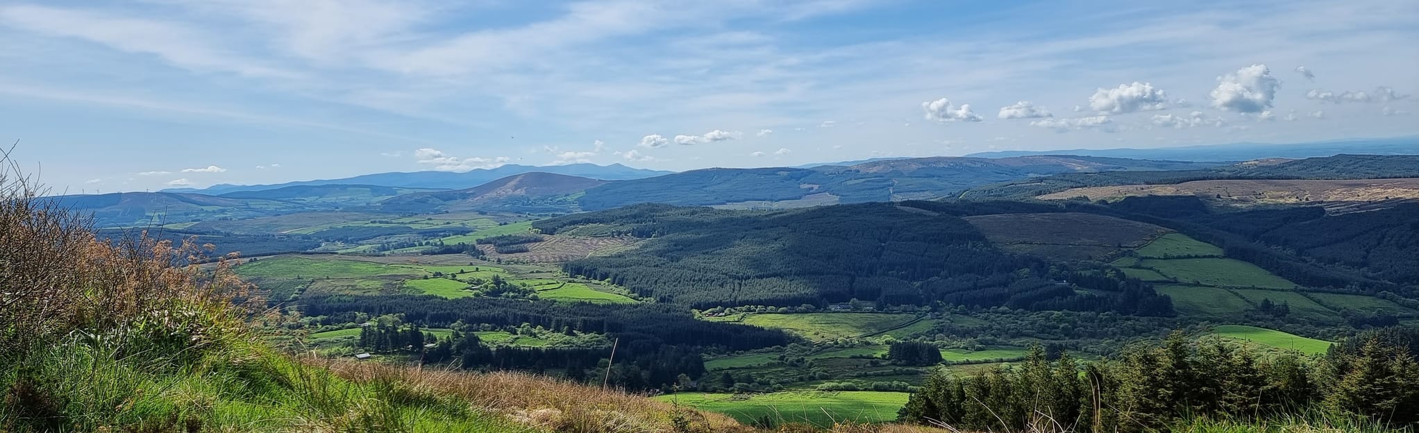 Ballyhourigan Woods and Keeper Hill Loop : 273 Photos - Comté de ...