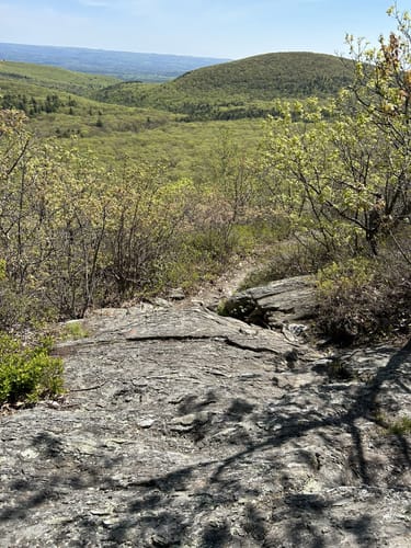 2023 Best Camping Trails in Mount Riga State Park | AllTrails