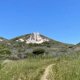 Crespi Trail, California - 224 Reviews, Map | AllTrails