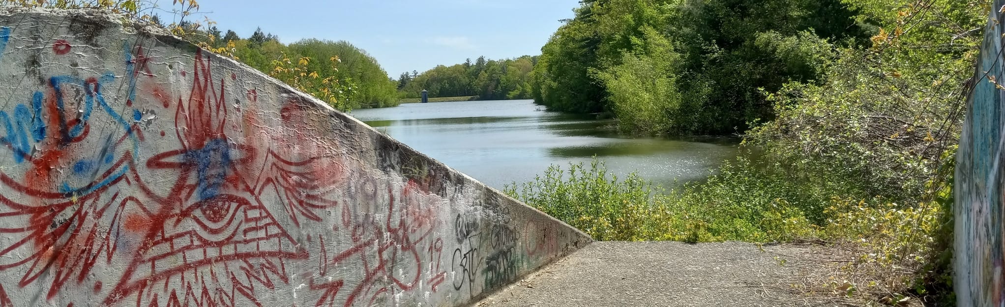 Bushwhack Loop: 37 Reviews, Map - Massachusetts | AllTrails