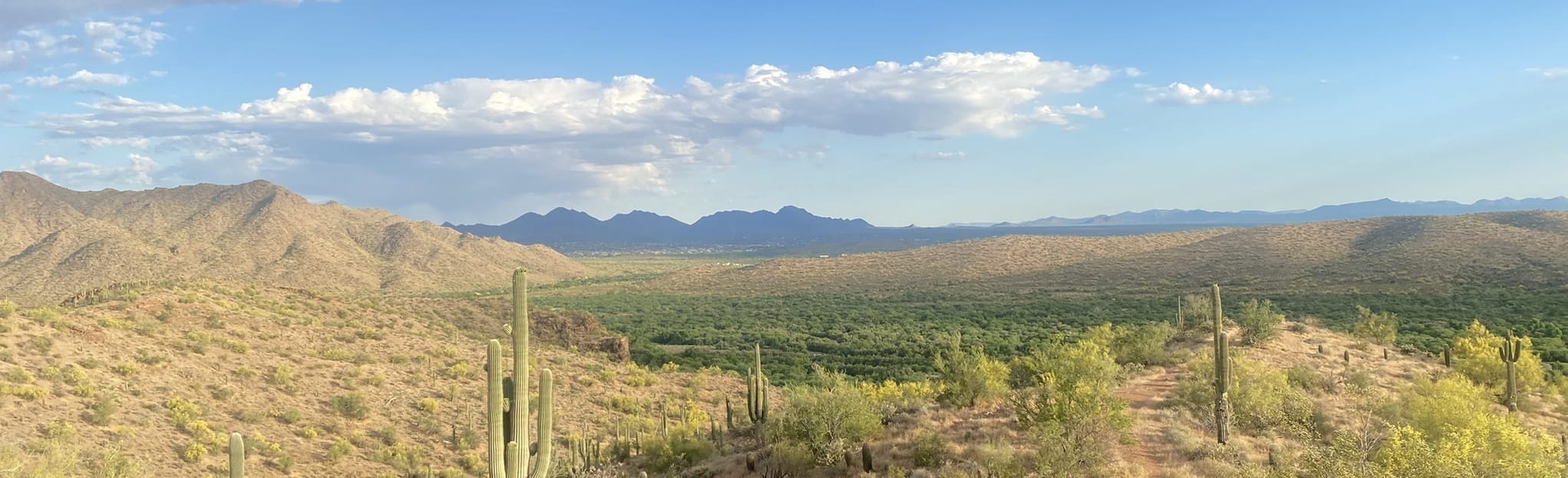 Coon Bluff Trail: 482 fotos - Arizona | AllTrails