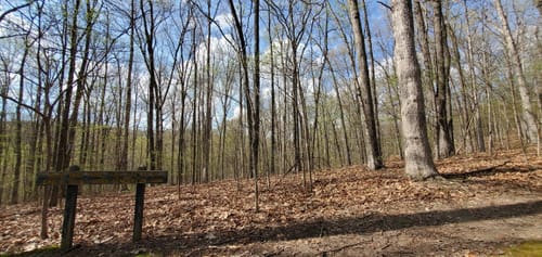Best Hikes and Trails in Paynetown State Recreation Area | AllTrails