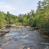 Contoocook River Trail, New Hampshire - 125 Reviews, Map | AllTrails