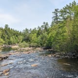 Contoocook River Trail, New Hampshire - 125 Reviews, Map | AllTrails