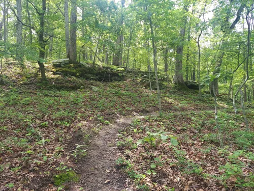 Best Hikes and Trails in Bryant Creek State Park | AllTrails