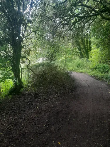 Best Hikes and Trails in Bulwell Hall Park | AllTrails