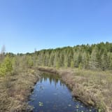 Bearskin State Trail, Wisconsin - 261 Reviews, Map | AllTrails